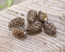 Czech Glass Bronzed Crystal AB Pine Cone 13x8mm