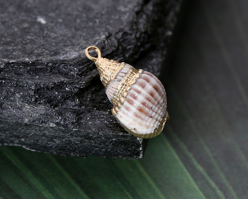 Banded Small Ridged Conch Shell Pendant w/ Gold Finish 11-17x20-29mm