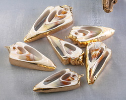 Luhuanus Shell Slice Pendant w/ Gold Finish 21-31x45-66mm