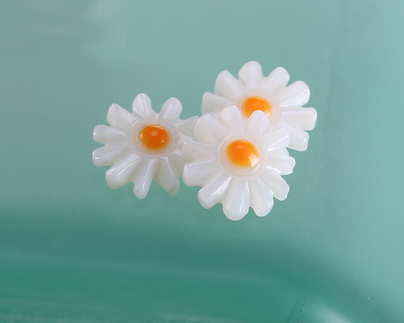 White Daisy Shell Coin 10mm