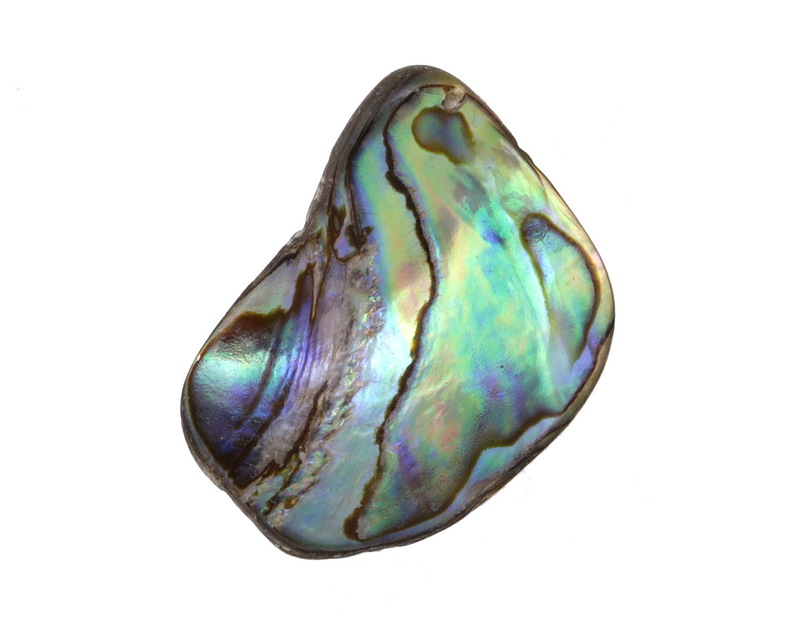 Abalone Shell Fragment Drop 16-27x22-35mm