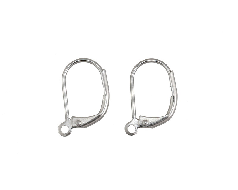Stainless Steel Leverback Earring w/ Open Loop 11x15mm